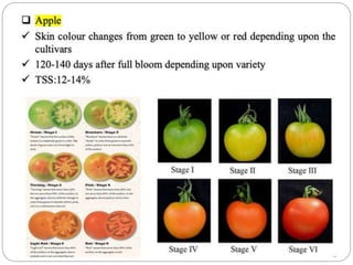 3. Maturity_indices_of_fruits_and_vegetable.pptx