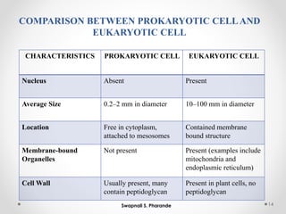 Introduction to Prokaryotes and Eukaryotes.pdf