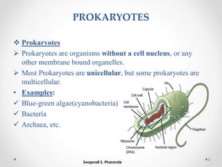 Introduction to Prokaryotes and Eukaryotes.pdf
