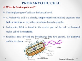 Introduction to Prokaryotes and Eukaryotes.pdf