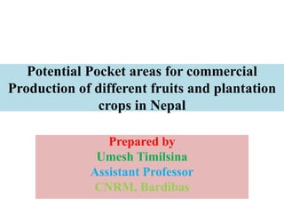 3.Pocket area of different fruits and plantation crop in nepal.pptx