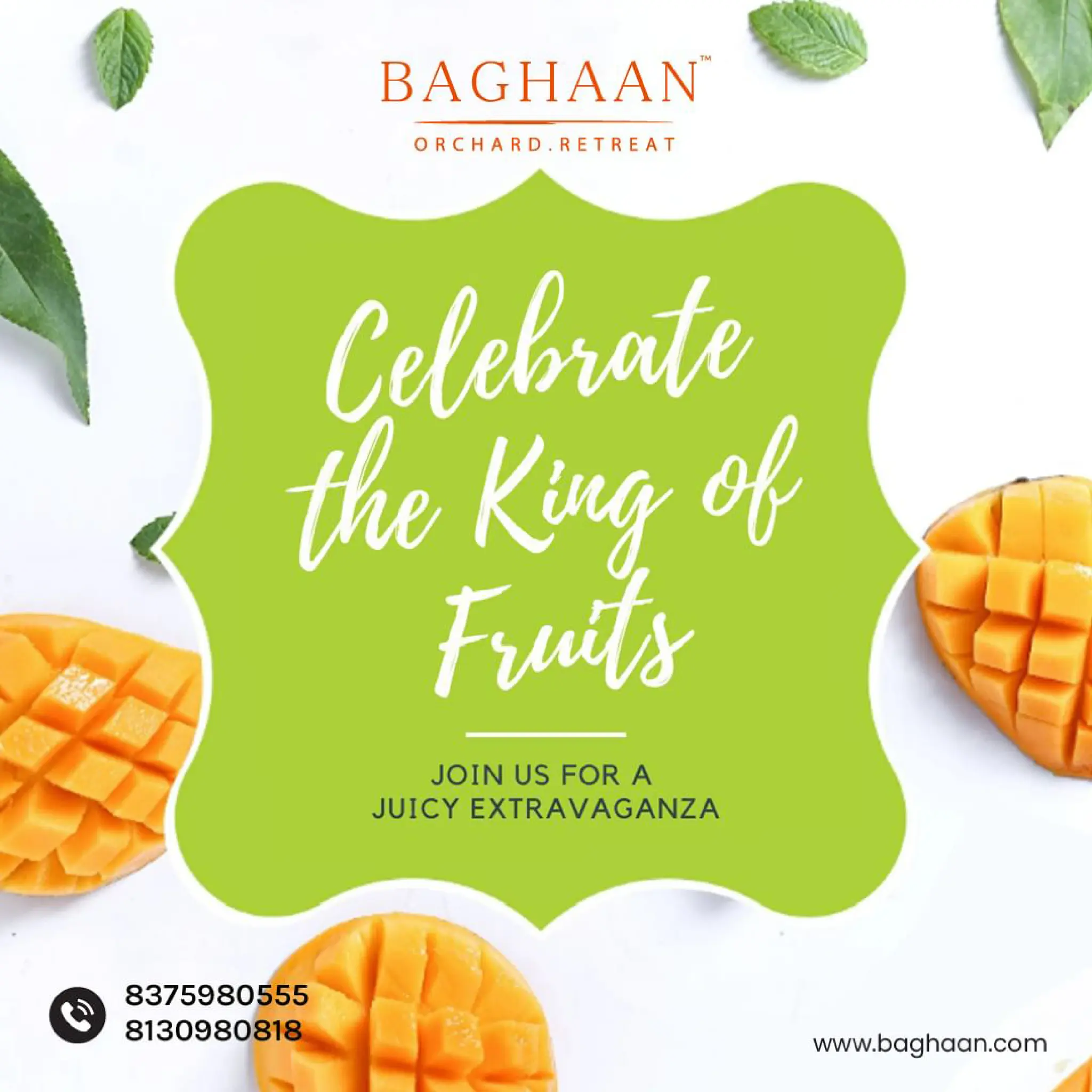 Bring your friends and family to experience the Mango Mania at Baghaan ...