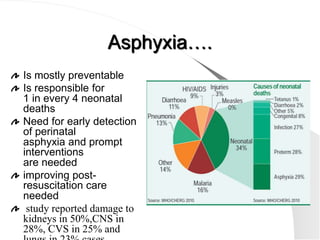 3. asphyxia.ppt birth asphyxia summary notes | PPT
