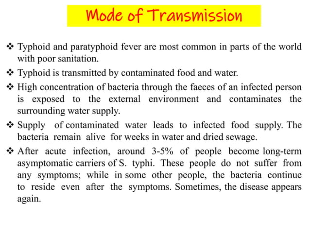 Pathophysiology of Typhoid ,Its clinical manifestation, Treatment. | PDF