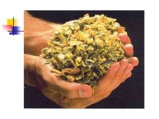 animal nutrion plant and animal body composition | PPT | Food & Drink