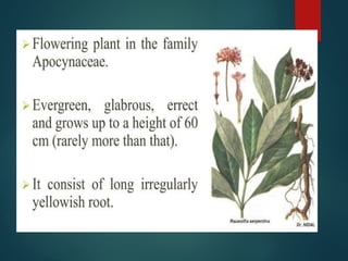 Antihypertensive alkaloid Rauwolfia serpentina.pptx