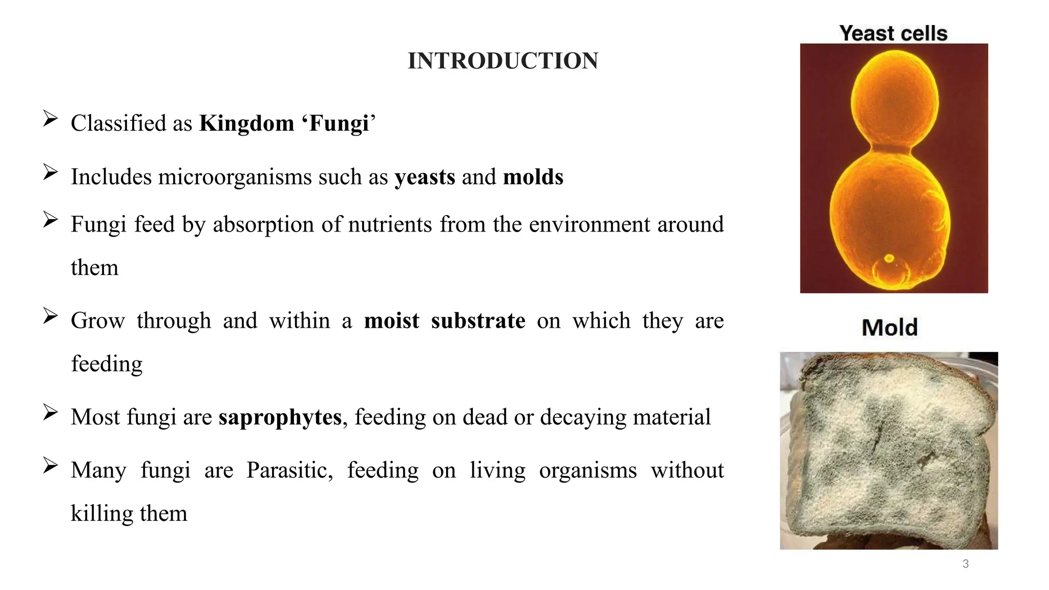 Study of morphology, classification, reproduction or replication and ...