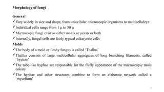 Study of morphology, classification, reproduction or replication and ...