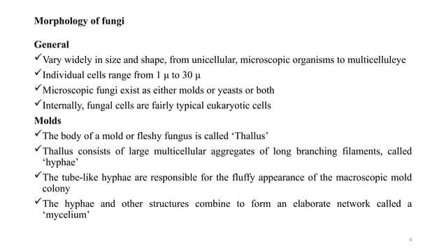 Study of morphology, classification, reproduction or replication and ...