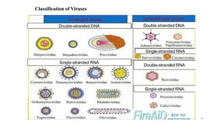 Study of morphology, classification, reproduction or replication and ...