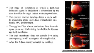 Study of morphology, classification, reproduction or replication and ...