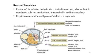 Study of morphology, classification, reproduction or replication and ...