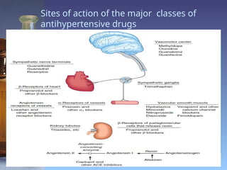 ANTIHYPERTENSIVE DRUGS. BP= CO x PR | PPTX