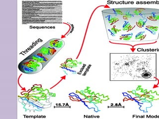 Protein structure prediction and classification.pptx