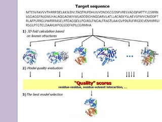Protein structure prediction and classification.pptx
