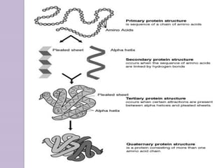 Protein structure prediction and classification.pptx