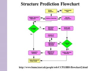 Protein structure prediction and classification.pptx