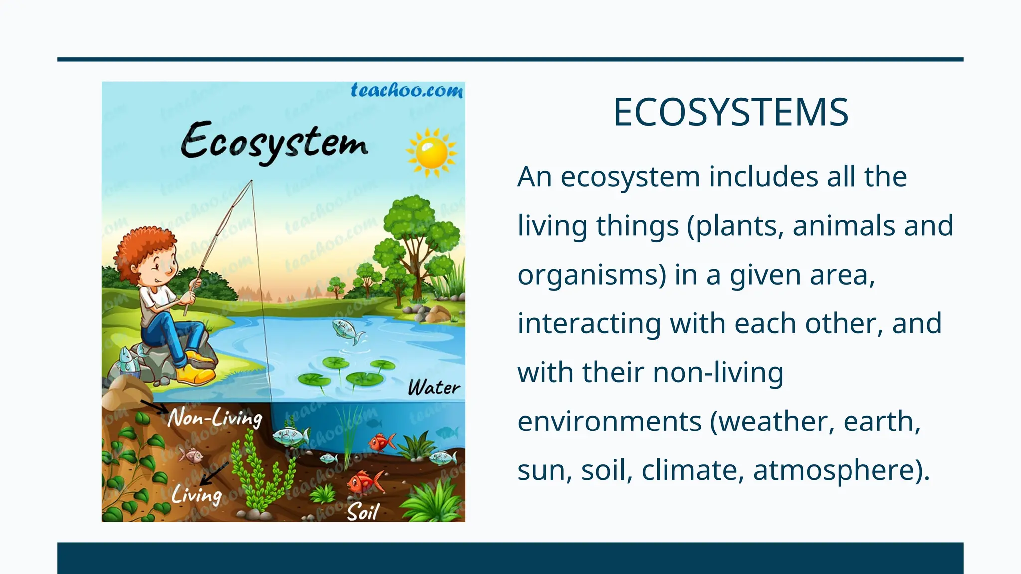 THE IMPORTANT ASPECT OF NATURE WITH EXAMPLES.ppt