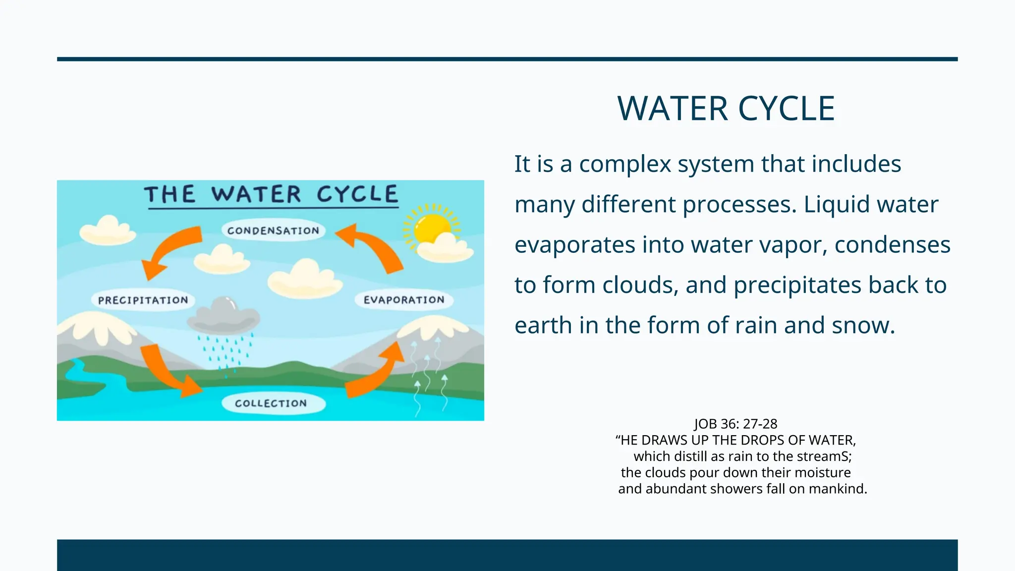 THE IMPORTANT ASPECT OF NATURE WITH EXAMPLES.ppt