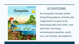 THE IMPORTANT ASPECT OF NATURE WITH EXAMPLES.ppt