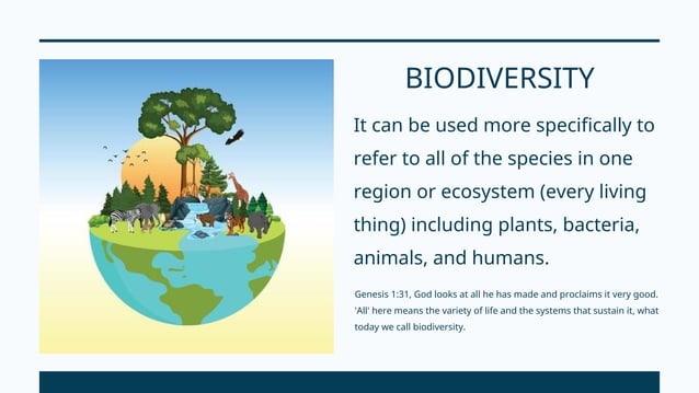 THE IMPORTANT ASPECT OF NATURE WITH EXAMPLES.ppt | Science