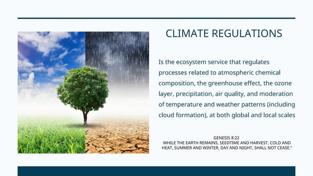 THE IMPORTANT ASPECT OF NATURE WITH EXAMPLES.ppt | Science