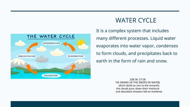 THE IMPORTANT ASPECT OF NATURE WITH EXAMPLES.ppt | Science