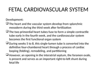 3. Fetal Development and Physiology.pptx