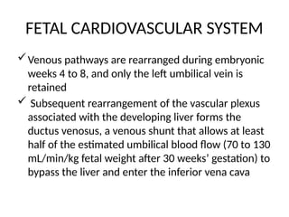 3. Fetal Development and Physiology.pptx