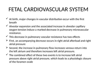 3. Fetal Development and Physiology.pptx