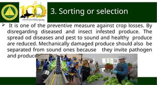 Crop Science 3: Post-harvest handling technology | PPTX