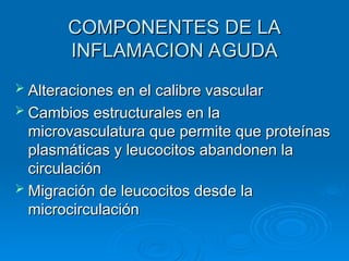 3. ...INFLAMACION AGUDA Y CRONICA 2024.ppt