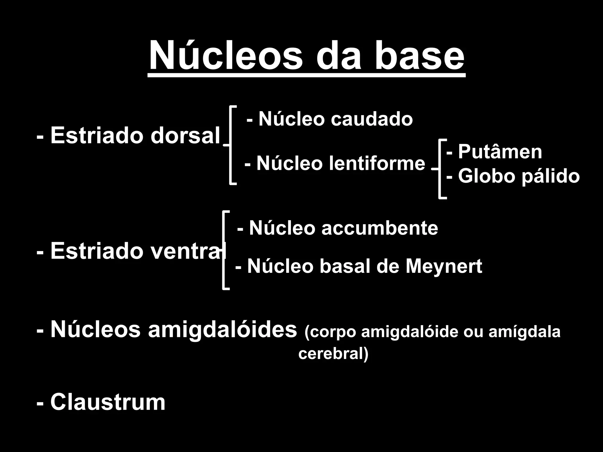 NÚCLEOS DA BASE- ANATOMIA DO CORPO HUMANO | PPT
