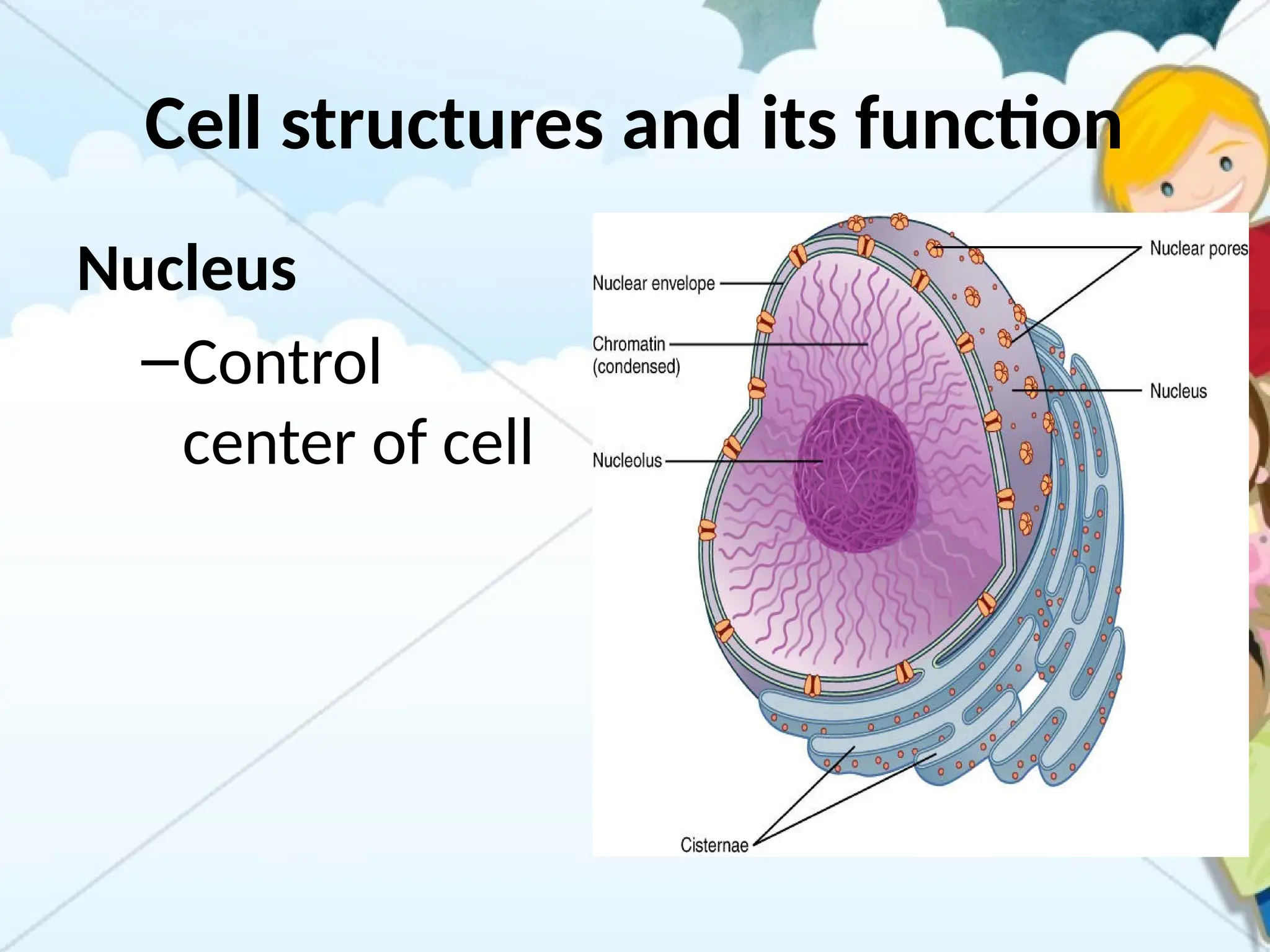 3. CELL STRUCTURE & FUNCTION.pptx earth and life science | PPT