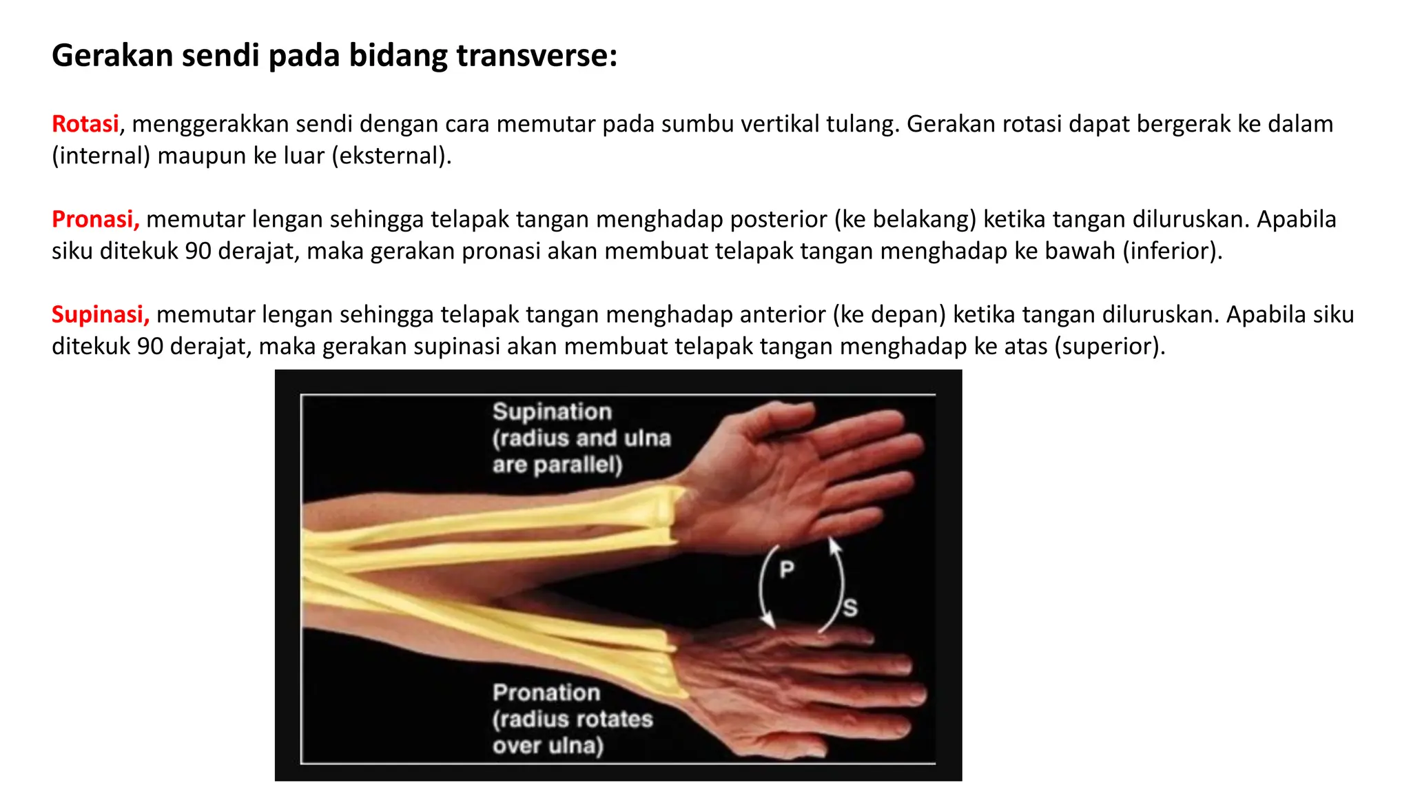 BIDANG ANATOMI dan SENDI GERAK PADA MANUSIA | PDF