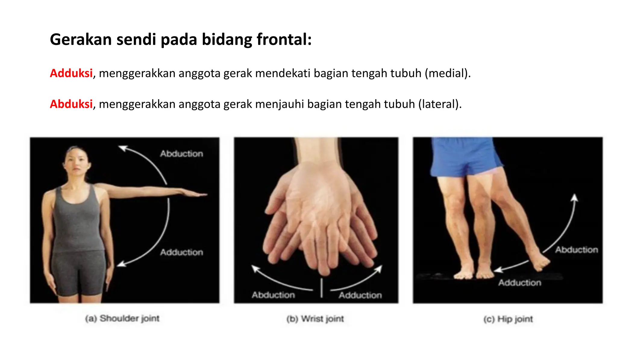 BIDANG ANATOMI dan SENDI GERAK PADA MANUSIA | PDF