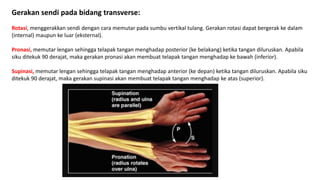 BIDANG ANATOMI dan SENDI GERAK PADA MANUSIA | PPT