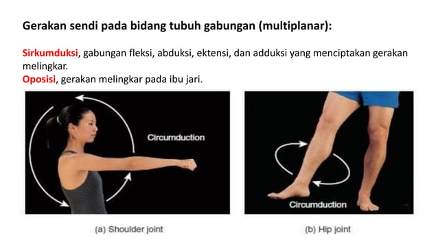 BIDANG ANATOMI dan SENDI GERAK PADA MANUSIA | PPT