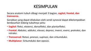 BIDANG ANATOMI dan SENDI GERAK PADA MANUSIA | PDF