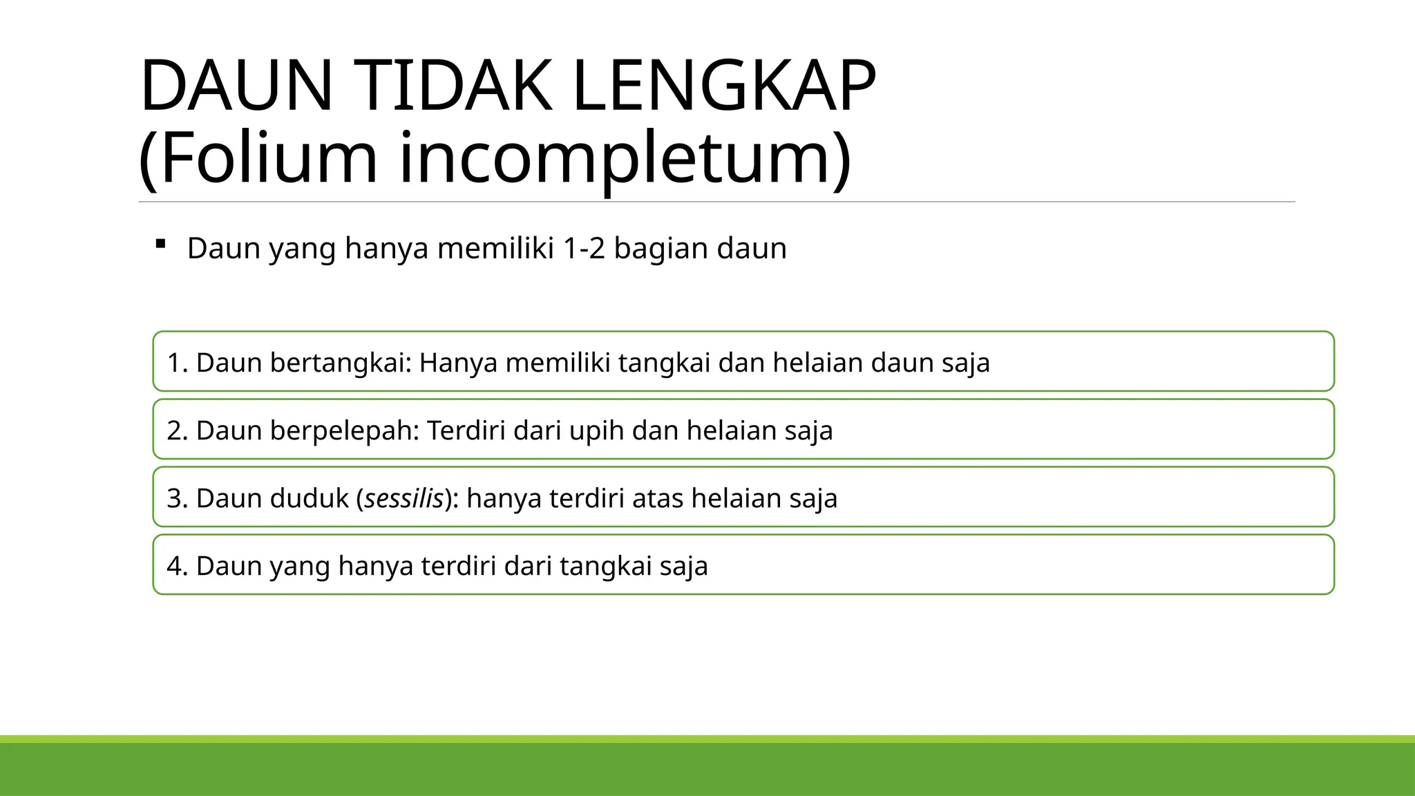Materi Kuliah Pertemuan 3. Morfologi Daun.pptx