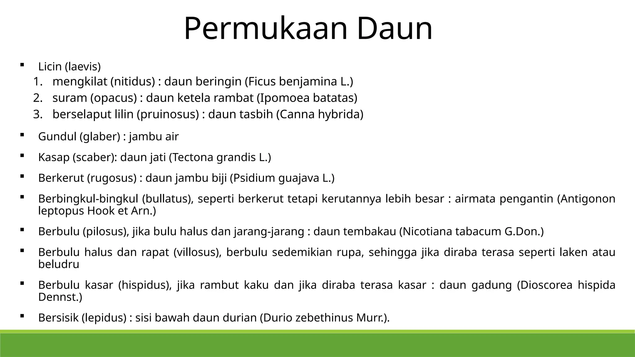 Materi Kuliah Pertemuan 3. Morfologi Daun.pptx
