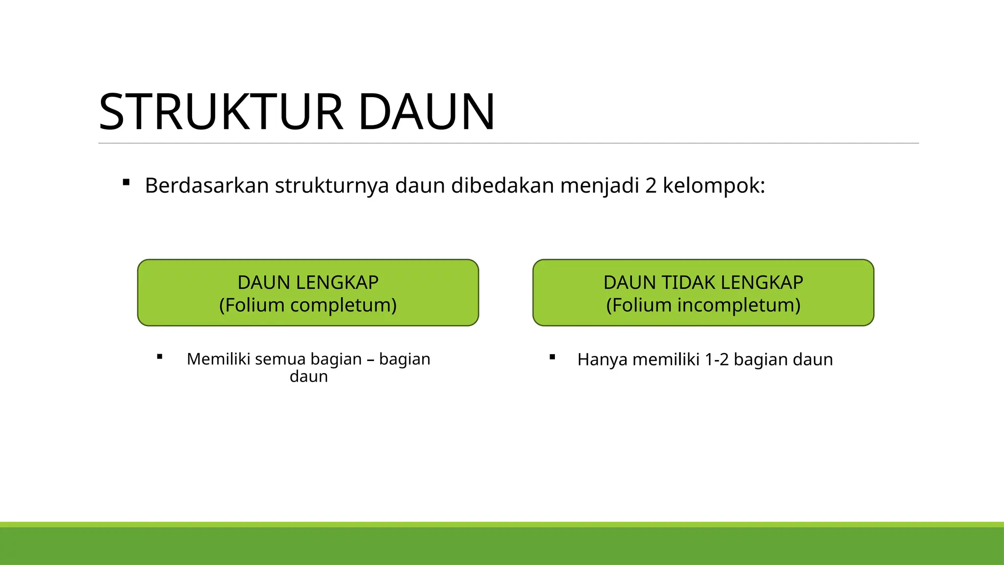 Materi Kuliah Pertemuan 3. Morfologi Daun.pptx