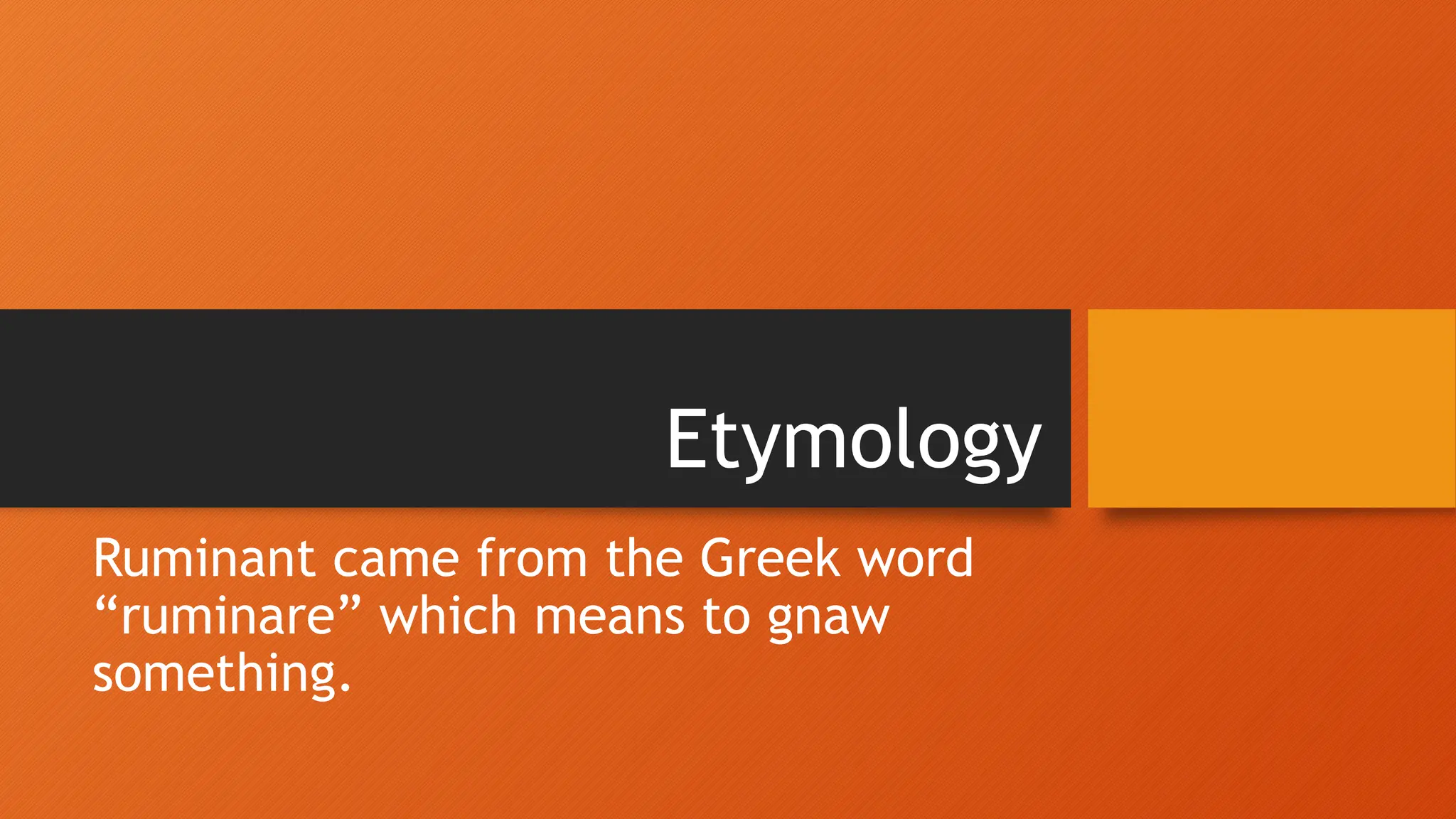 3. Breeds of Small and Large Ruminants.pptx