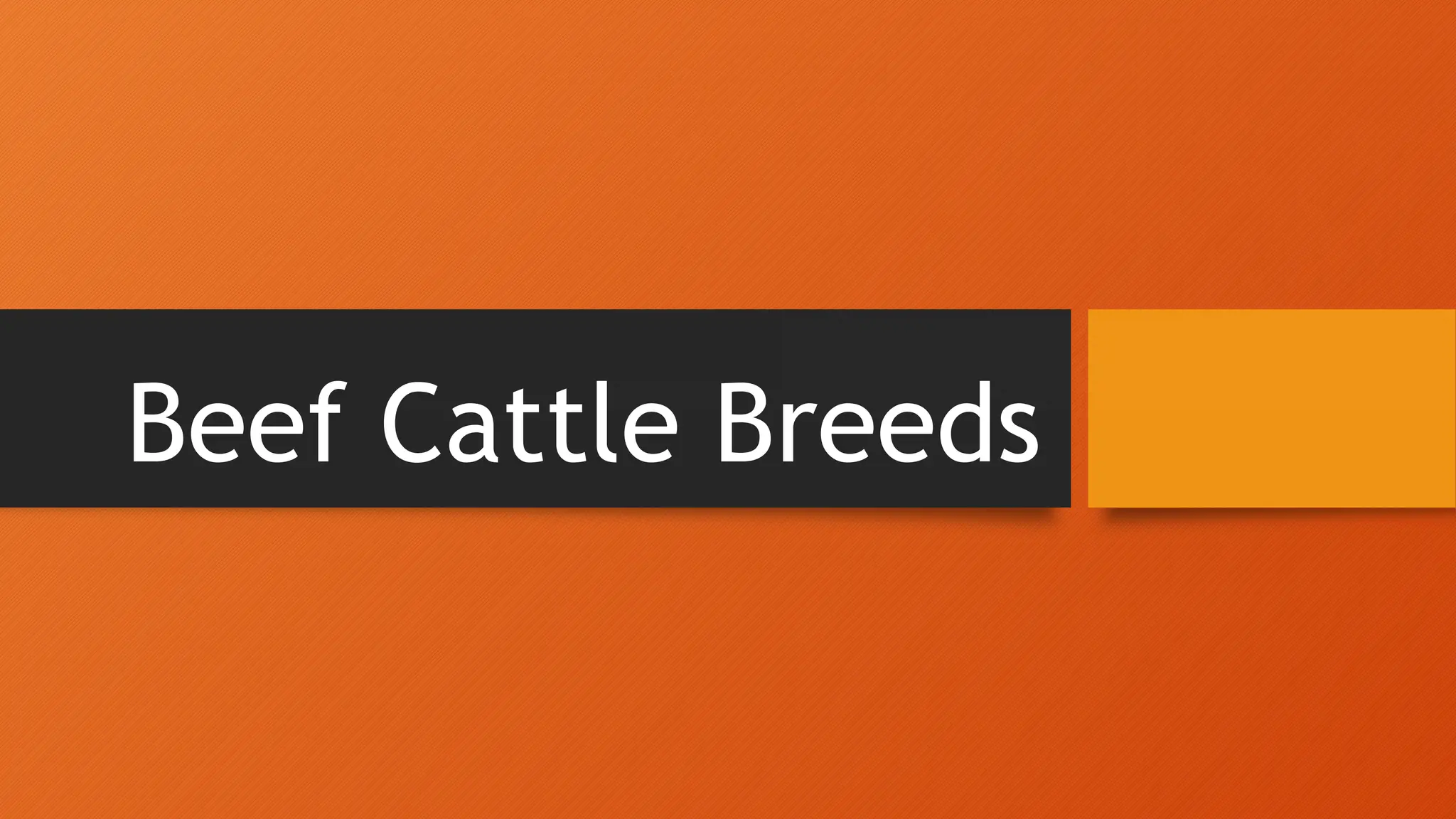 3. Breeds of Small and Large Ruminants.pptx