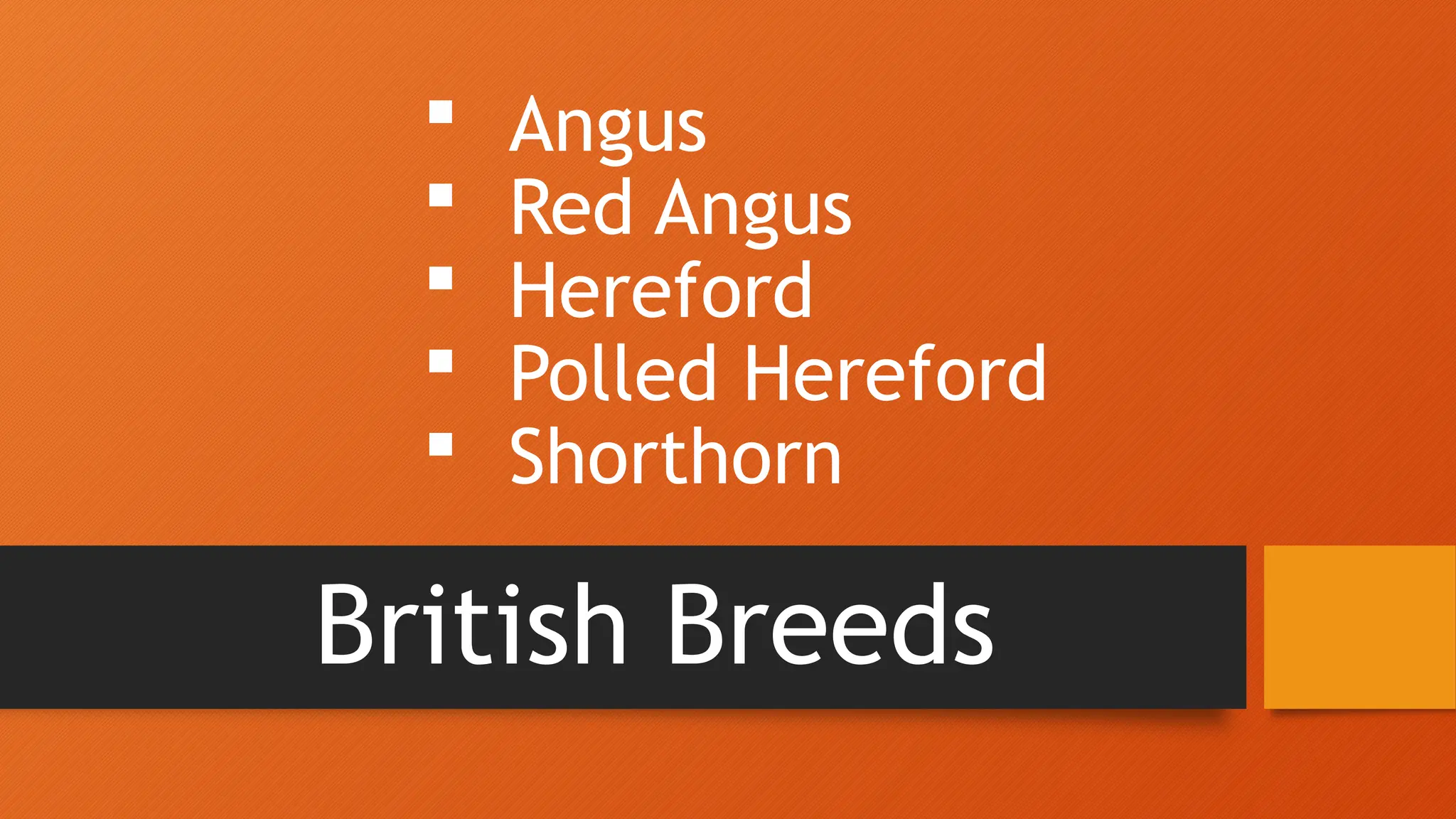 3. Breeds of Small and Large Ruminants.pptx