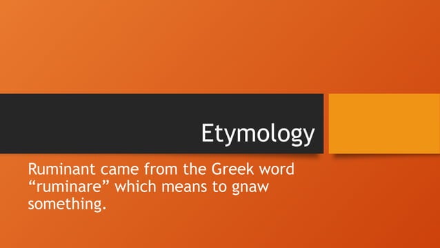 3. Breeds of Small and Large Ruminants.pptx | Dogs | Pets