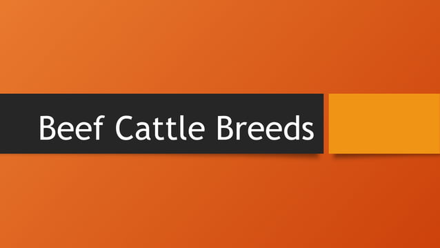 3. Breeds of Small and Large Ruminants.pptx | Dogs | Pets