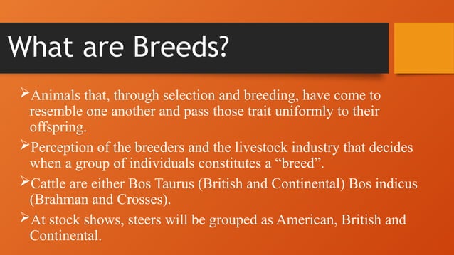 3. Breeds of Small and Large Ruminants.pptx | Dogs | Pets