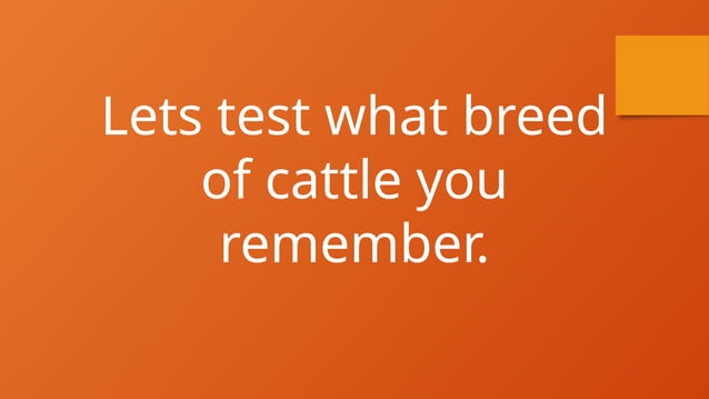 3. Breeds of Small and Large Ruminants.pptx