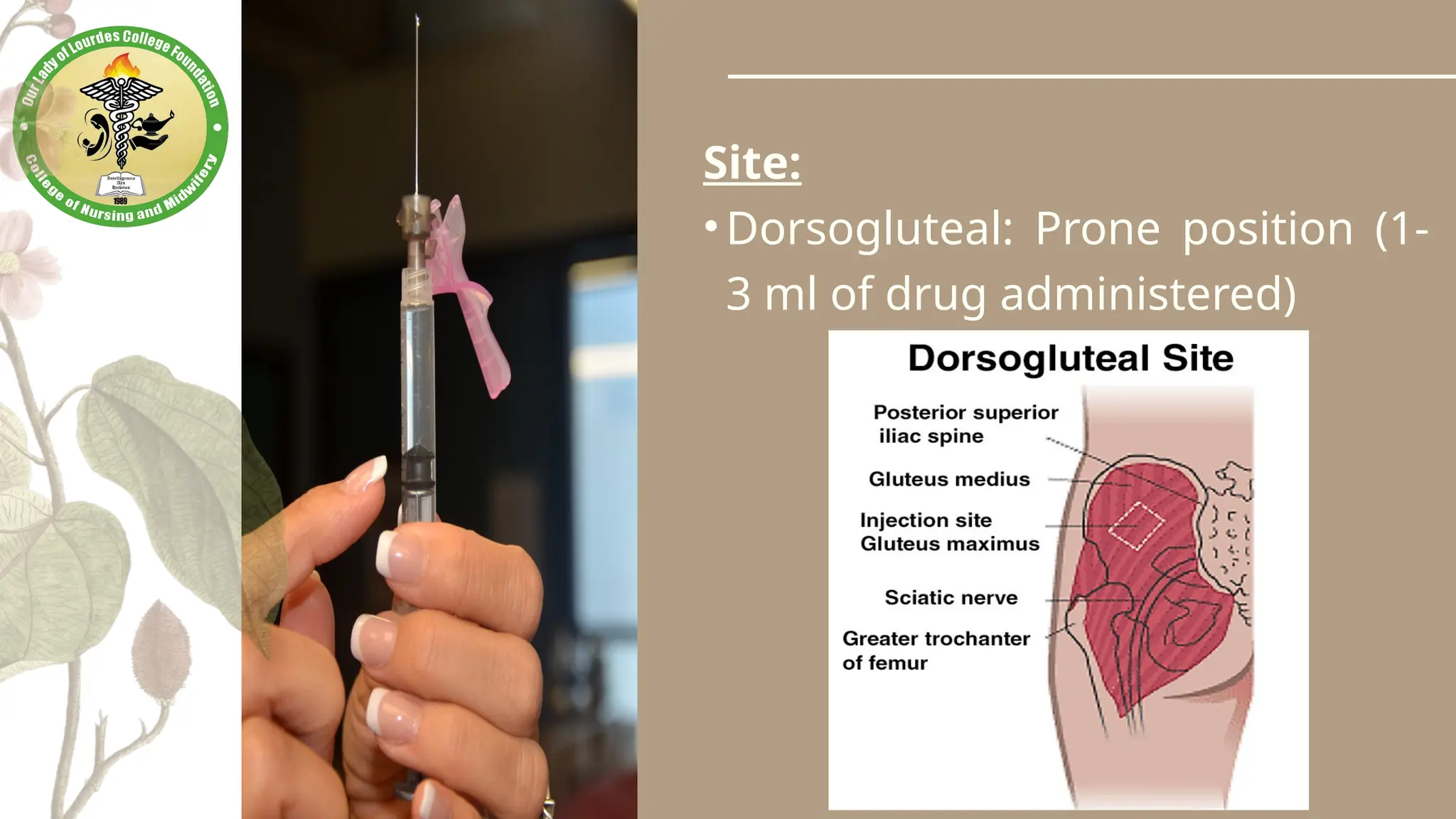 Intramuscular Injection Powerpoint presentation | PPTX